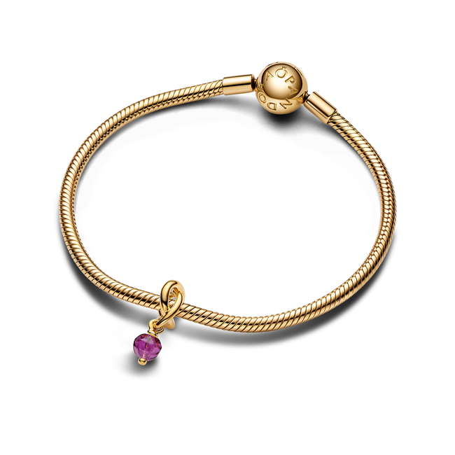 Pandora padlock bracelet store
