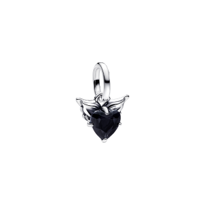 Pandora Charms - Pandora