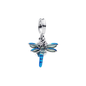 Pandora Charms - Pandora