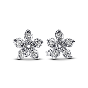 Pandora Ohrringe - Pandora